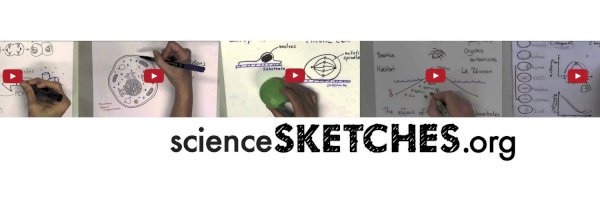 Science Sketches
