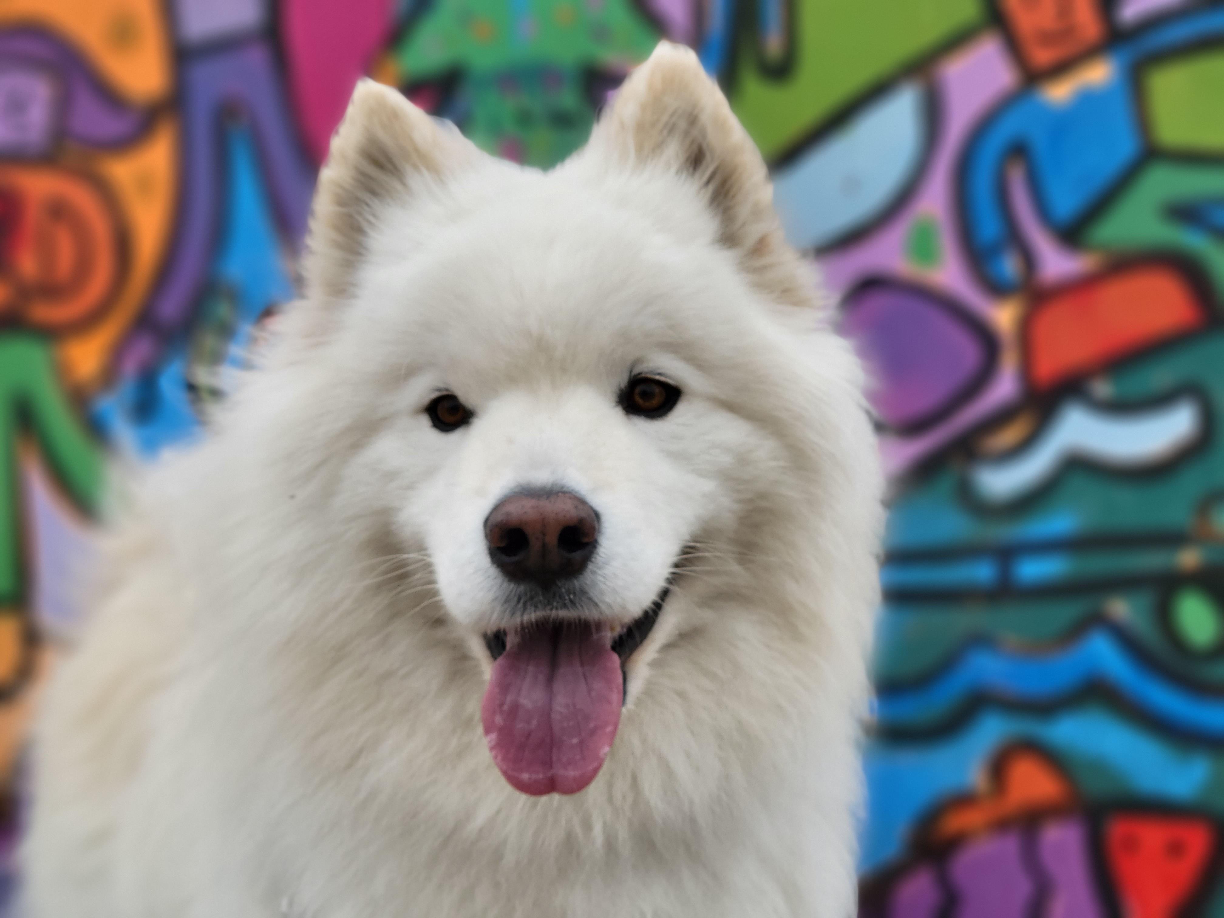 Sonya Tran on Spoutible