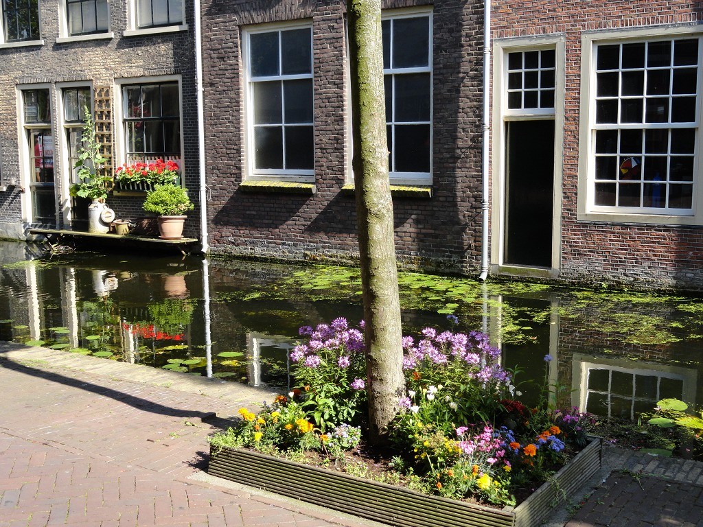 Robin Basham on Spoutible