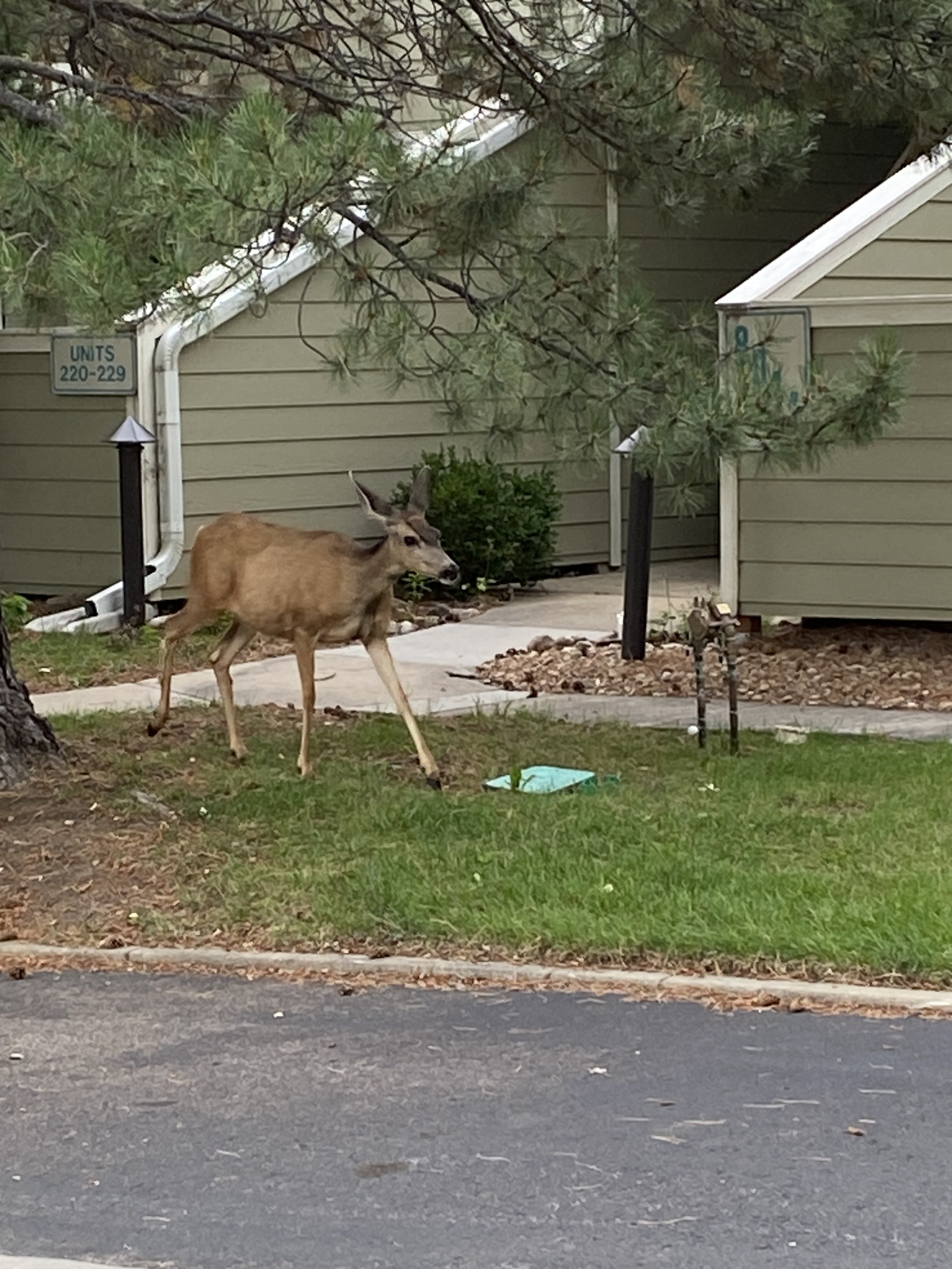 Kate Head on Spoutible